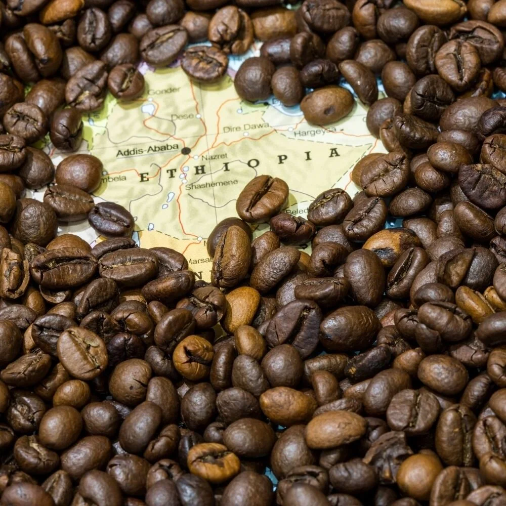 Where Does Coffee Come From?