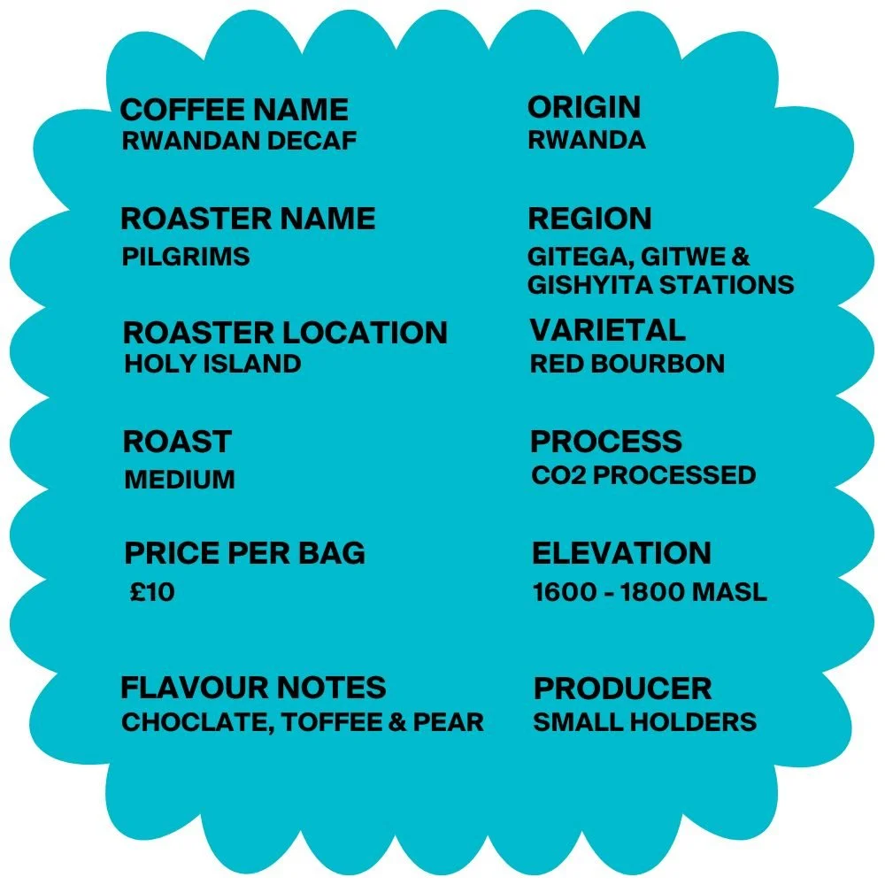 Pilgrims Coffee Roasters Decaf Review