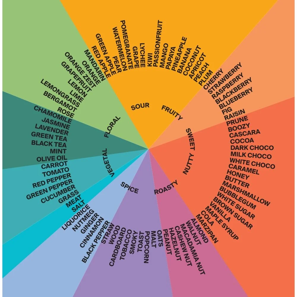 Why Do Coffee Beans Have Different Flavours? (What are notes?)