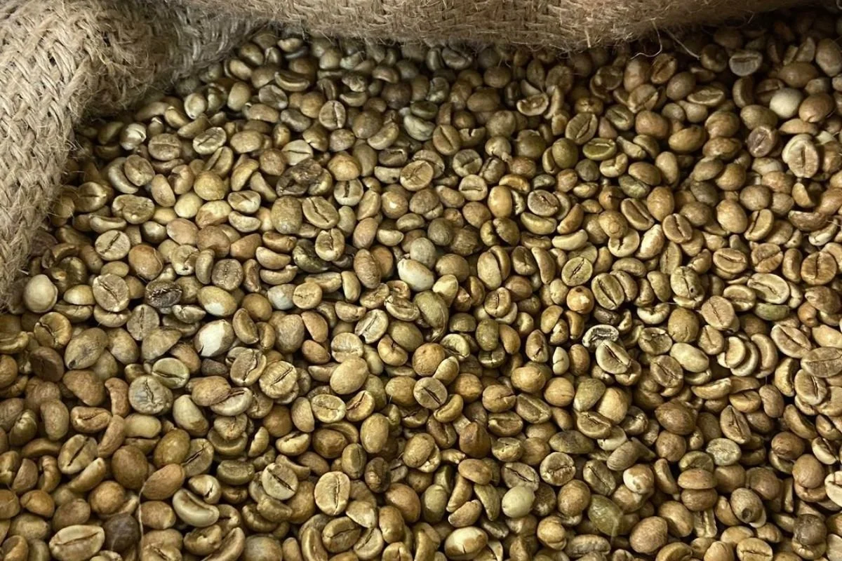 Should I Wash My Coffee Beans? (What is washed coffee?)