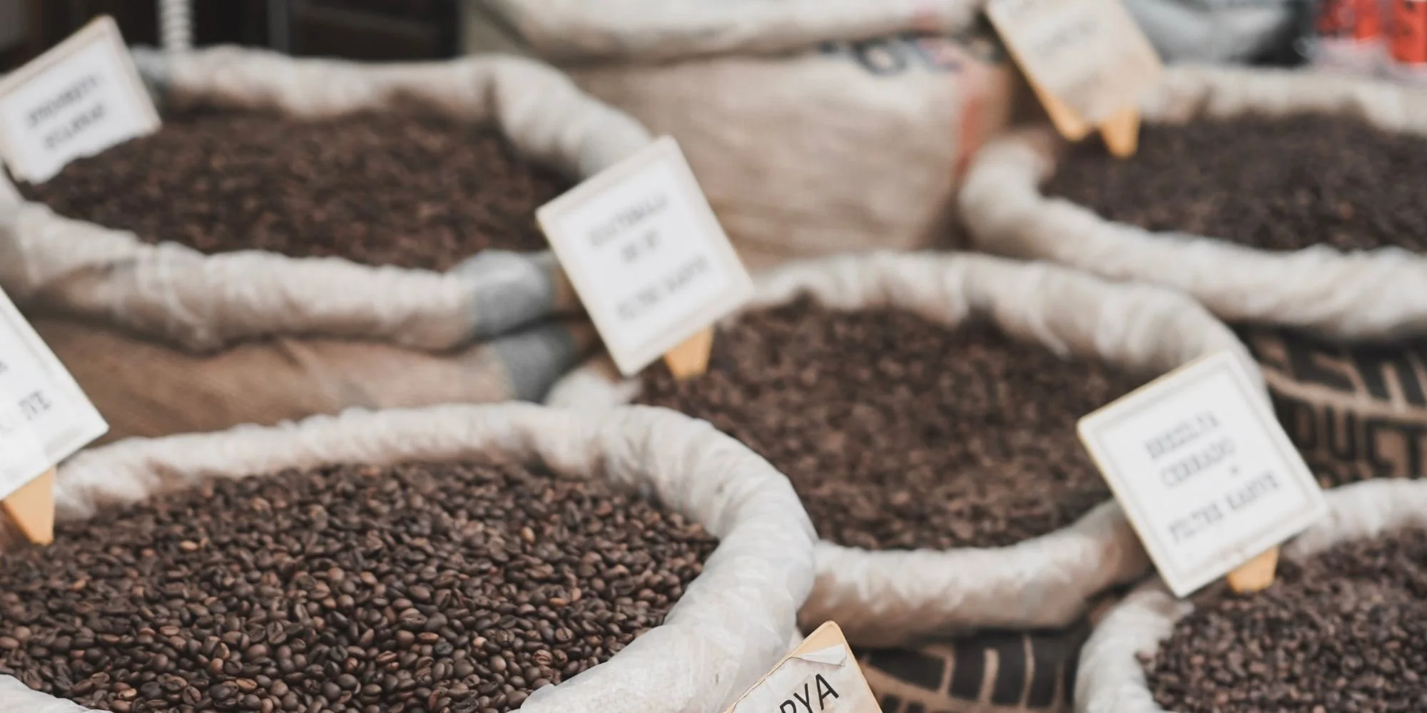 The 8 Most Expensive Coffee In The World (On quality and novelty)