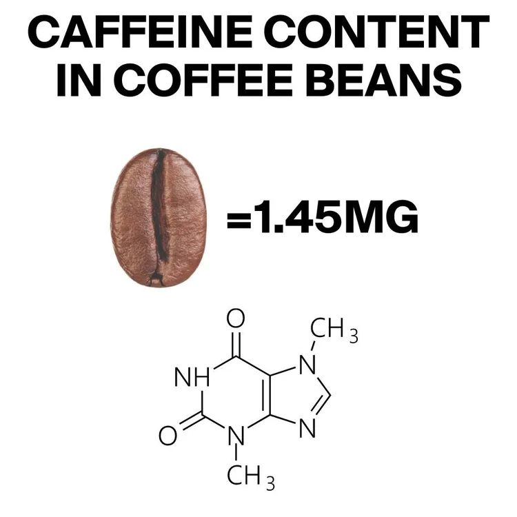 How Much Caffeine is in a Coffee Bean? (Our Breakdown)