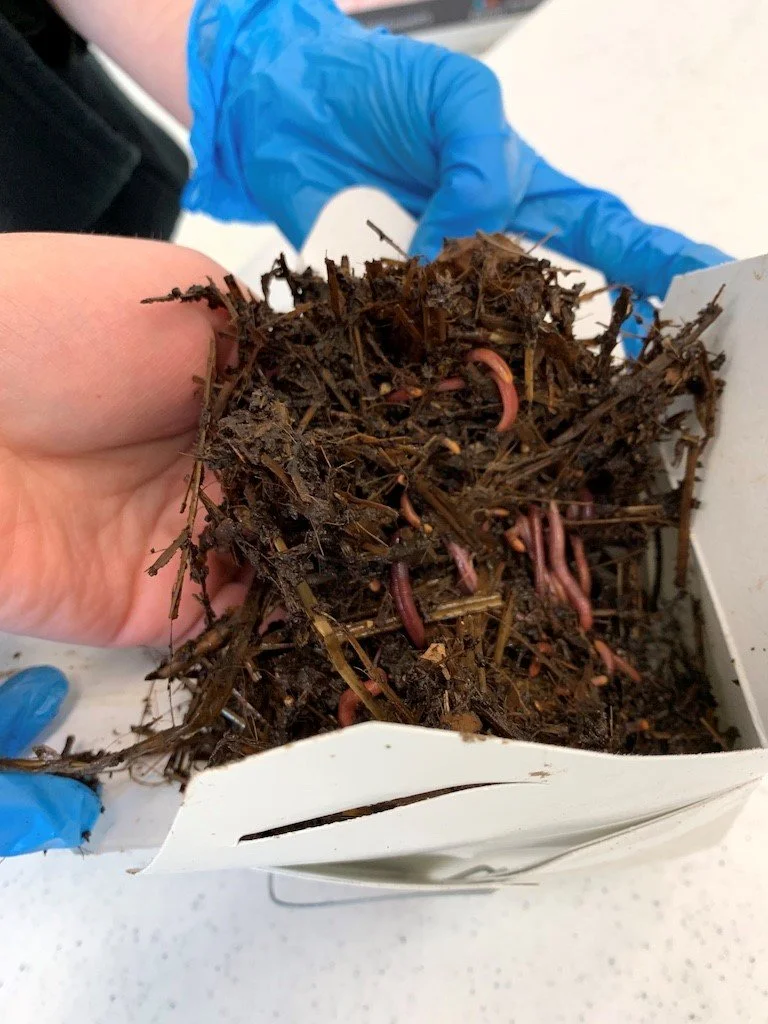 The Wormery at Western Fair District — The Grove