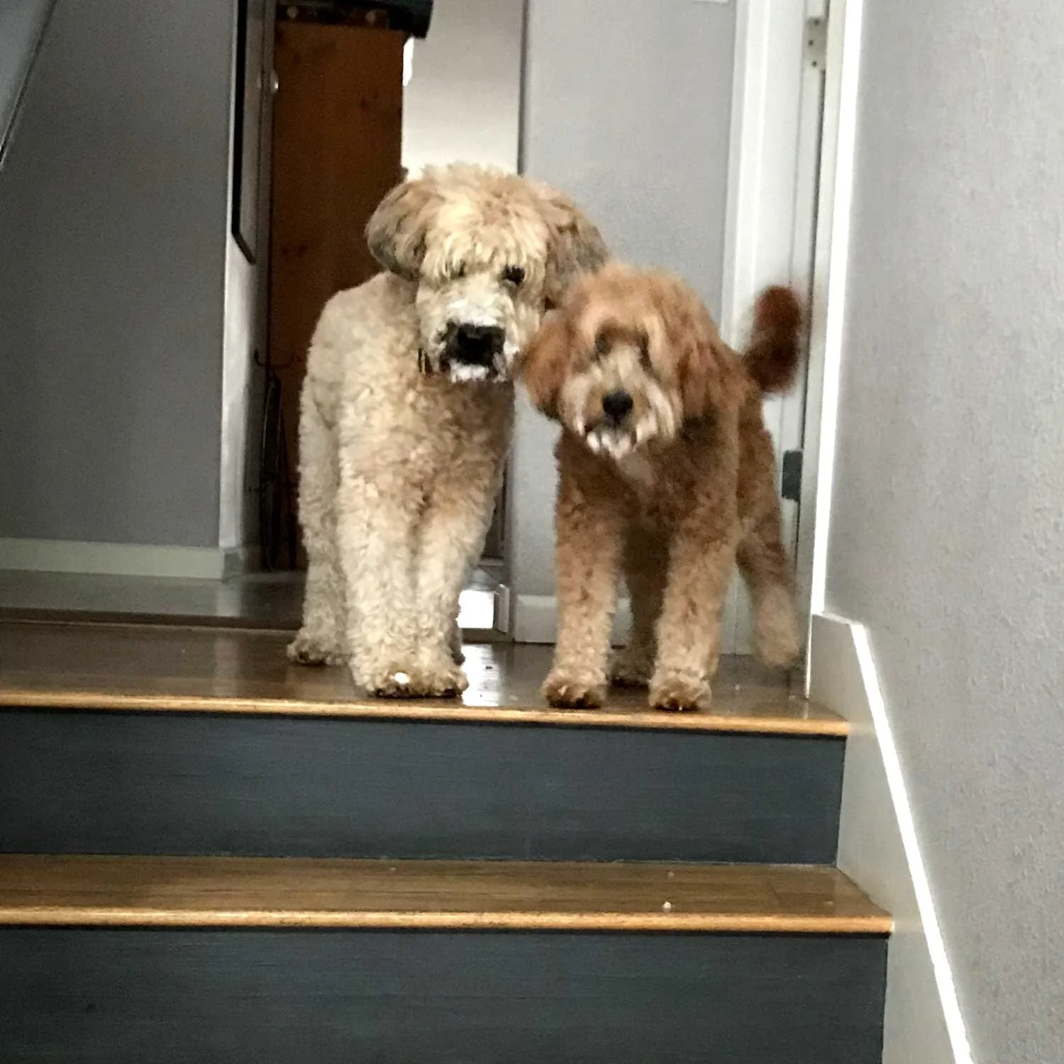 Best B&B with view from Your Room B&B — Susitna Place, Anchorage