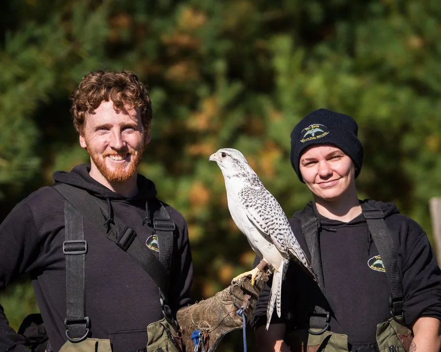 About — The Eyrie: Birds of Prey Services