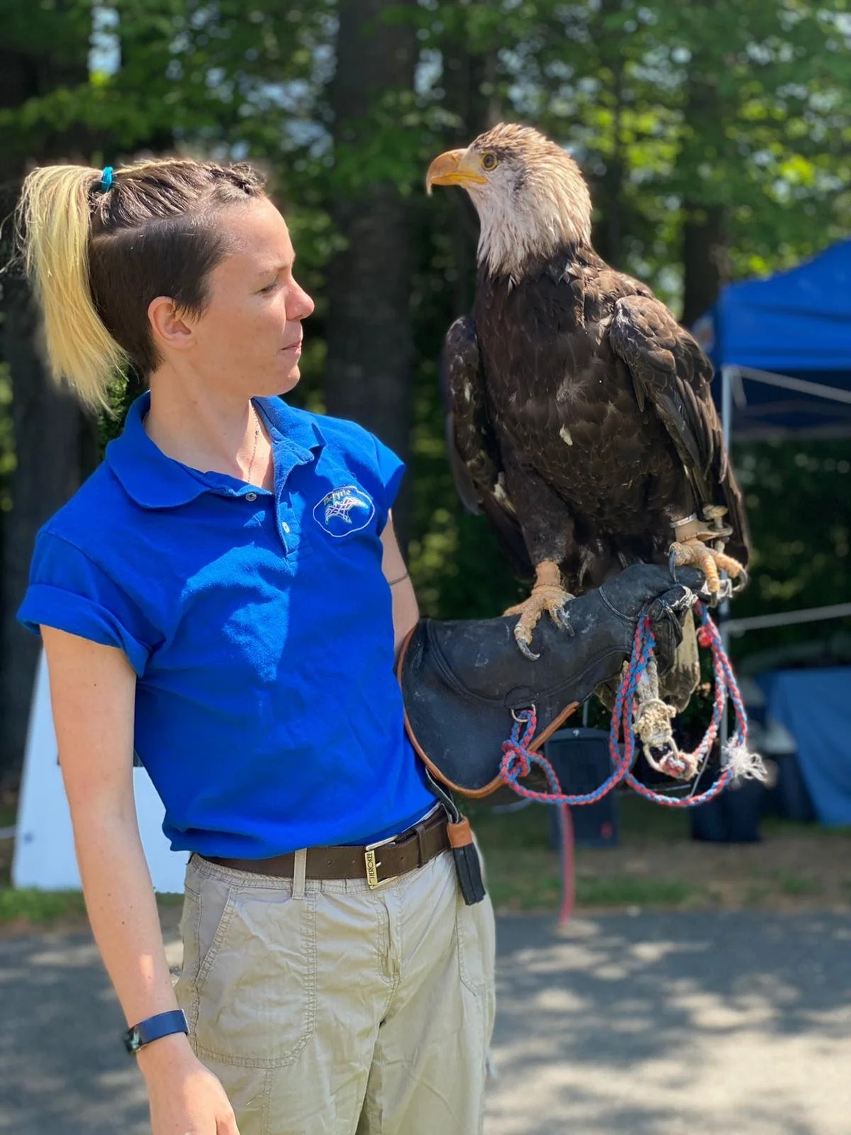 About — The Eyrie: Birds of Prey Services