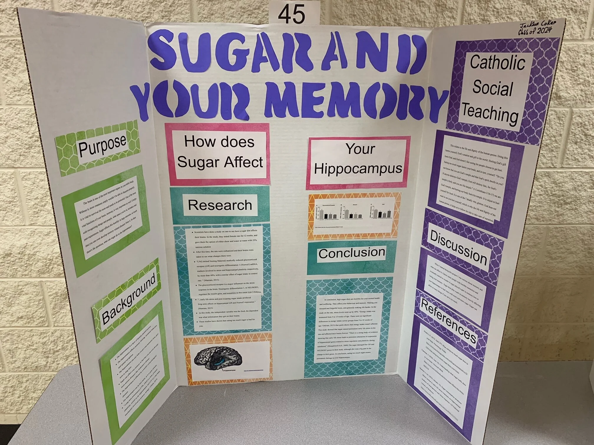 Annual Science Expo Results — Central Catholic High School