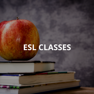 About - Services at the Dixon Homestead Library in Dumont NJ — Dixon ...