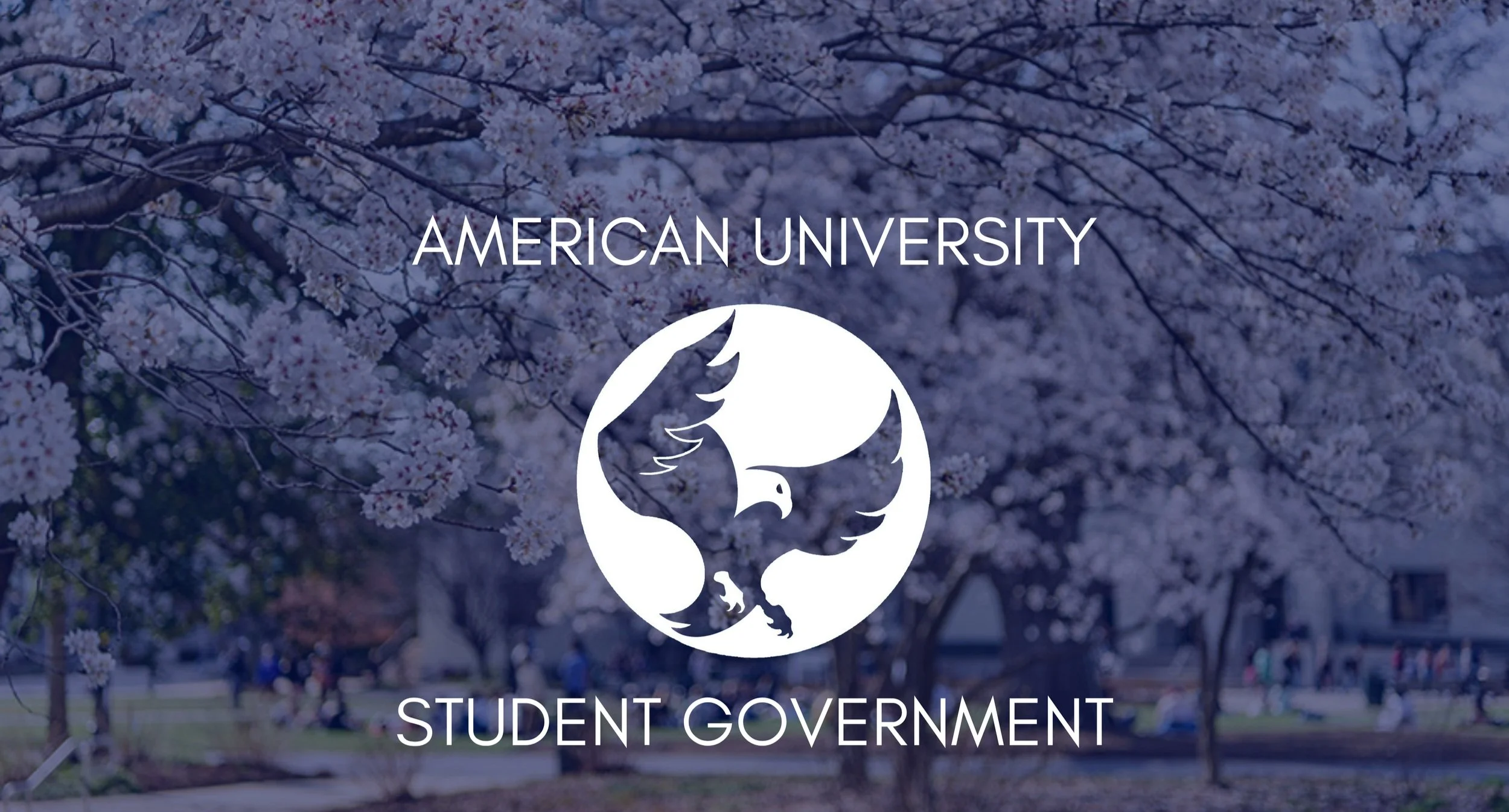 American University Student Government