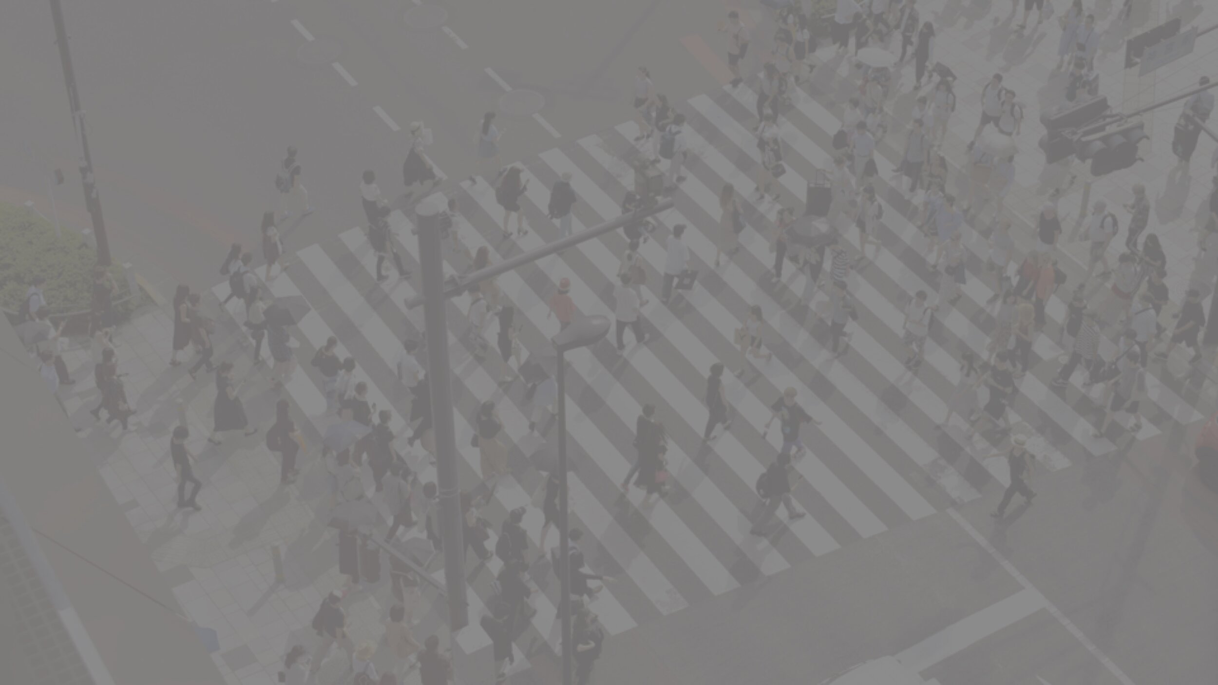 Afflo Organ Transplant Management