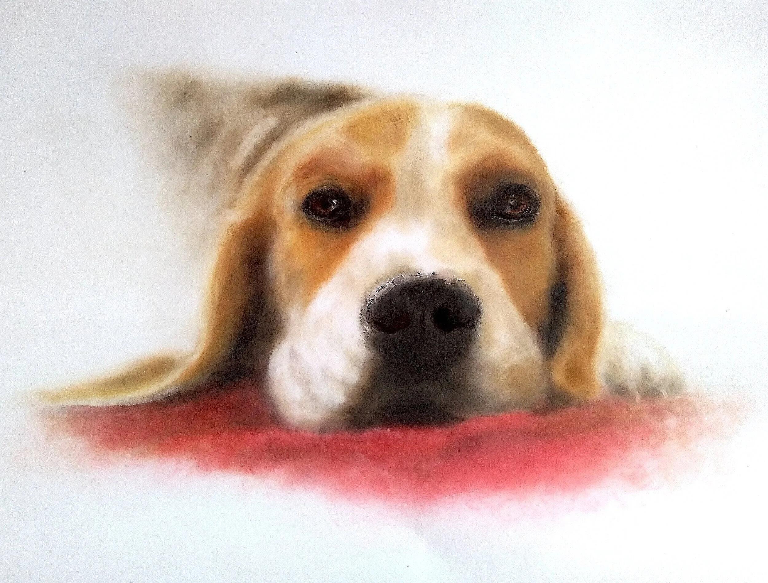 Tails & Tales | Dog Art, Poems and Prose by Irish Creative Antoinette ...