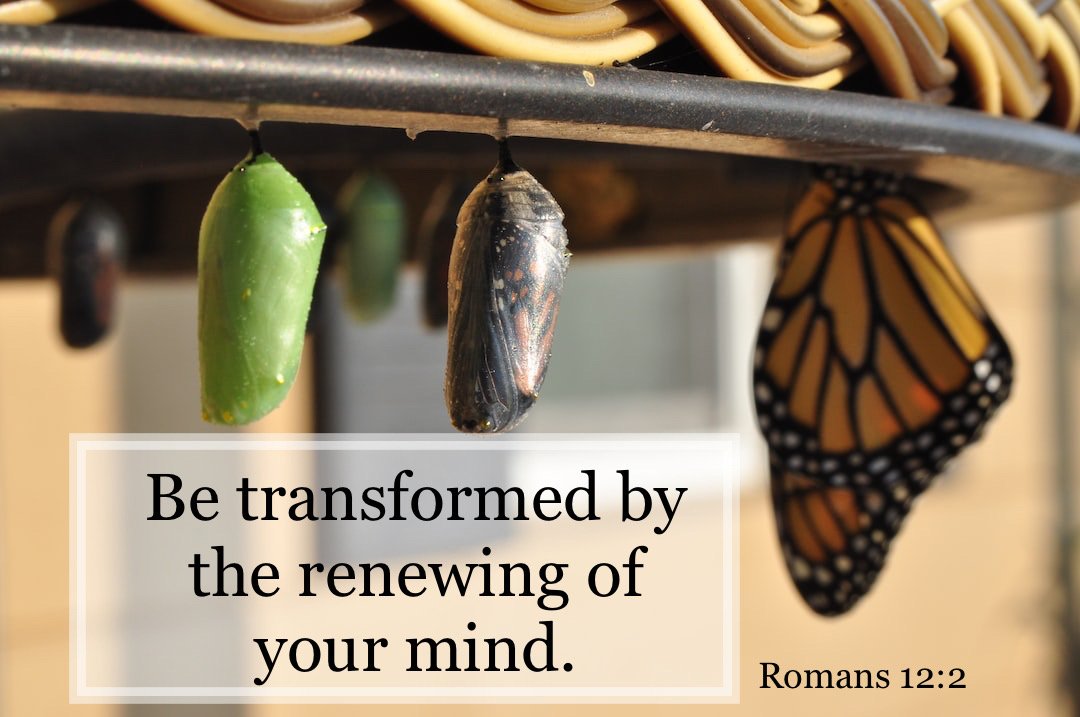Transformed By The Renewing Of Your Mind
