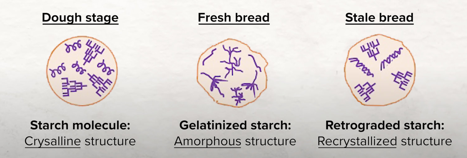 The Corn Tortilla Cooking Framework (From Fresh to Stale) — Ethan