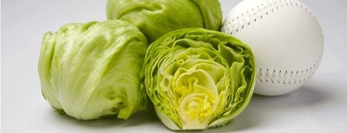 6 Tasty Small Round Green Vegetables You Have to Try — Hitchcock Farms