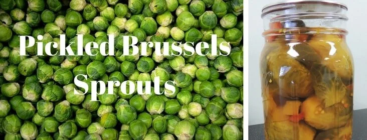Pickled Brussels Sprouts: Perfect for Perking Up Restaurant Menus ...