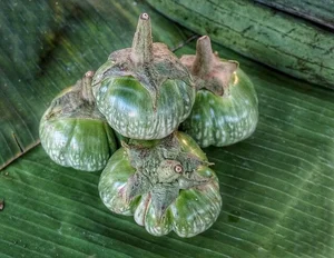 6 Tasty Small Round Green Vegetables You Have to Try — Hitchcock Farms