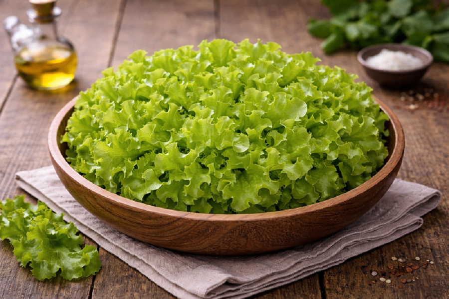 21 Types of Lettuce and the Best Ways to Use Them — Hitchcock Farms