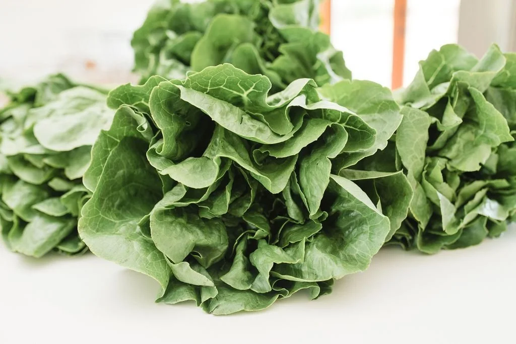 13 Types of Lettuce and the Best Ways to Use Them — Hitchcock Farms