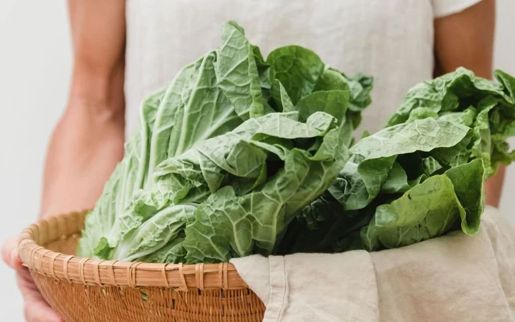 The Farm-to-Table Movement: A Complete Guide — Hitchcock Farms