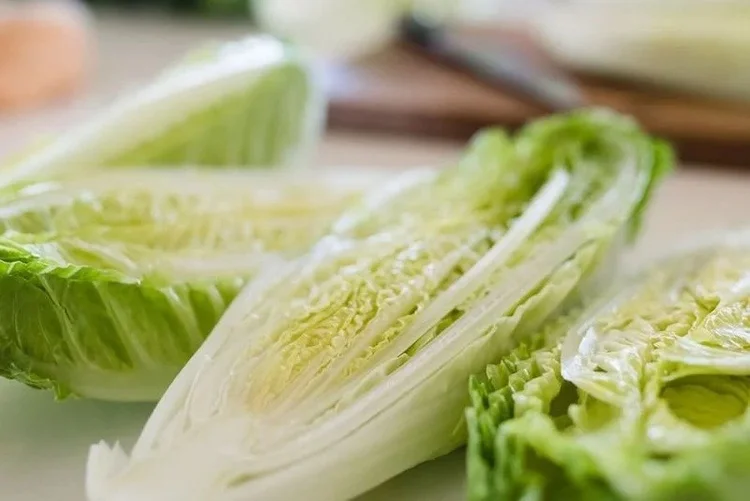 13 Types of Lettuce and the Best Ways to Use Them — Hitchcock Farms