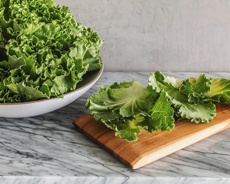 21 Types of Lettuce and the Best Ways to Use Them — Hitchcock Farms