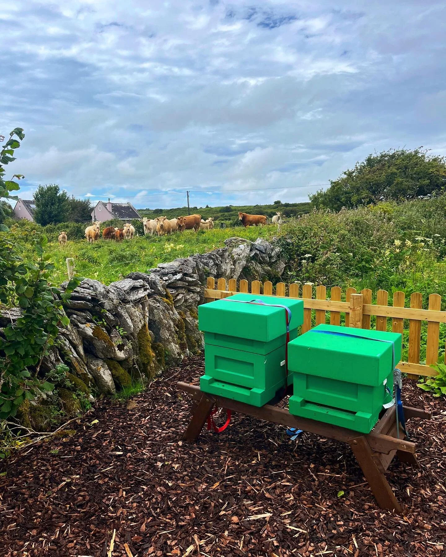 OpenHive Honey