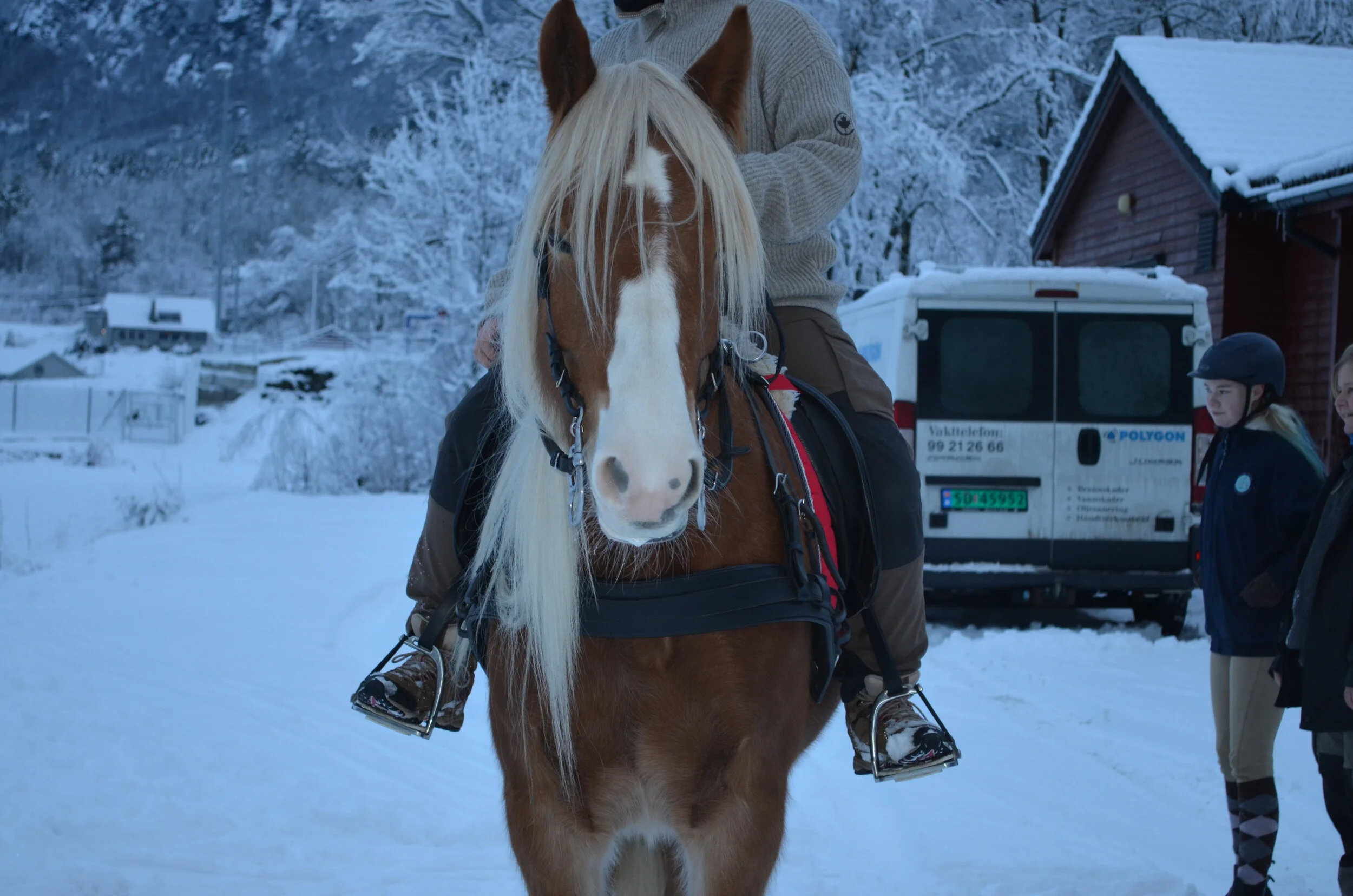 Om Tveit — Tveit vgs