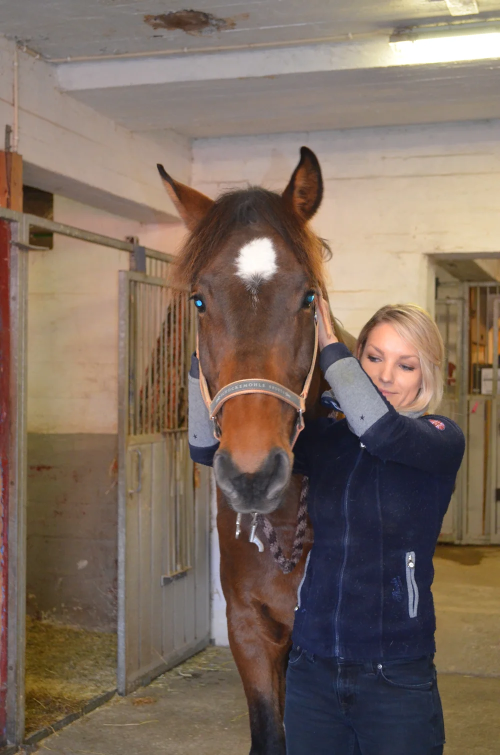 Om Tveit — Tveit vgs