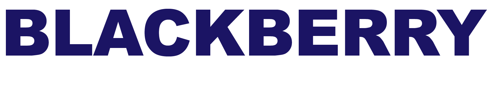 Blackberry Logo Transparent
