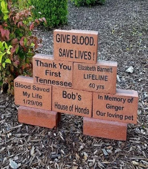 Brick Program — Lifeline Blood Services