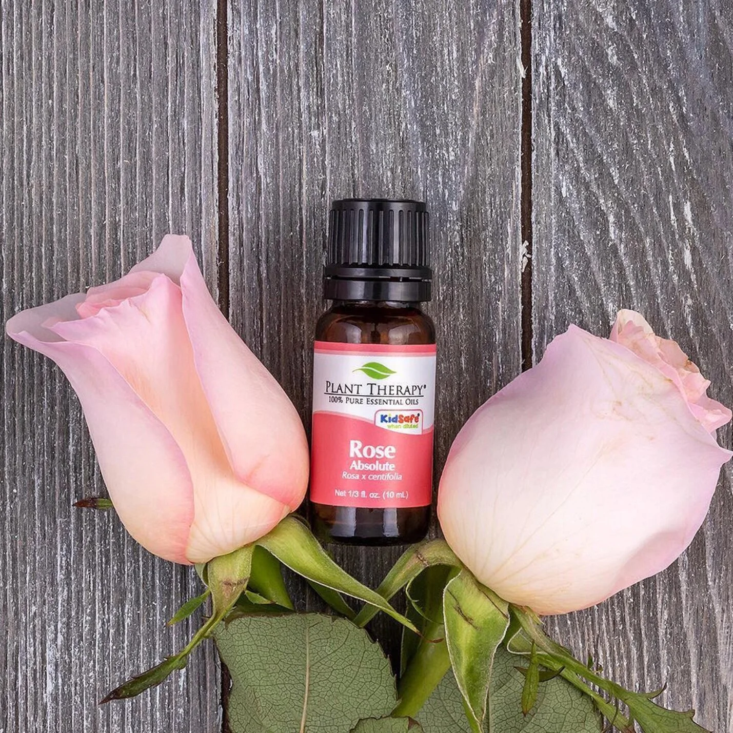 Our story — Essential Organics