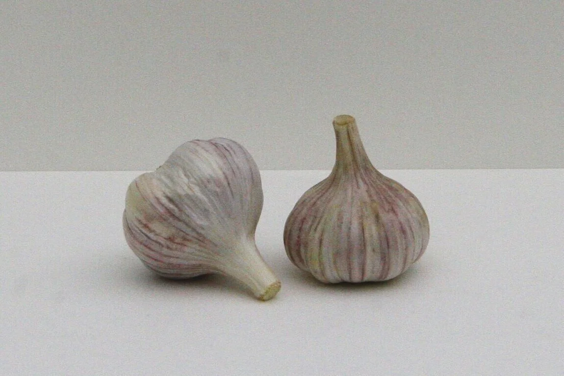 Culinary Garlic — Bessette Creek Farm