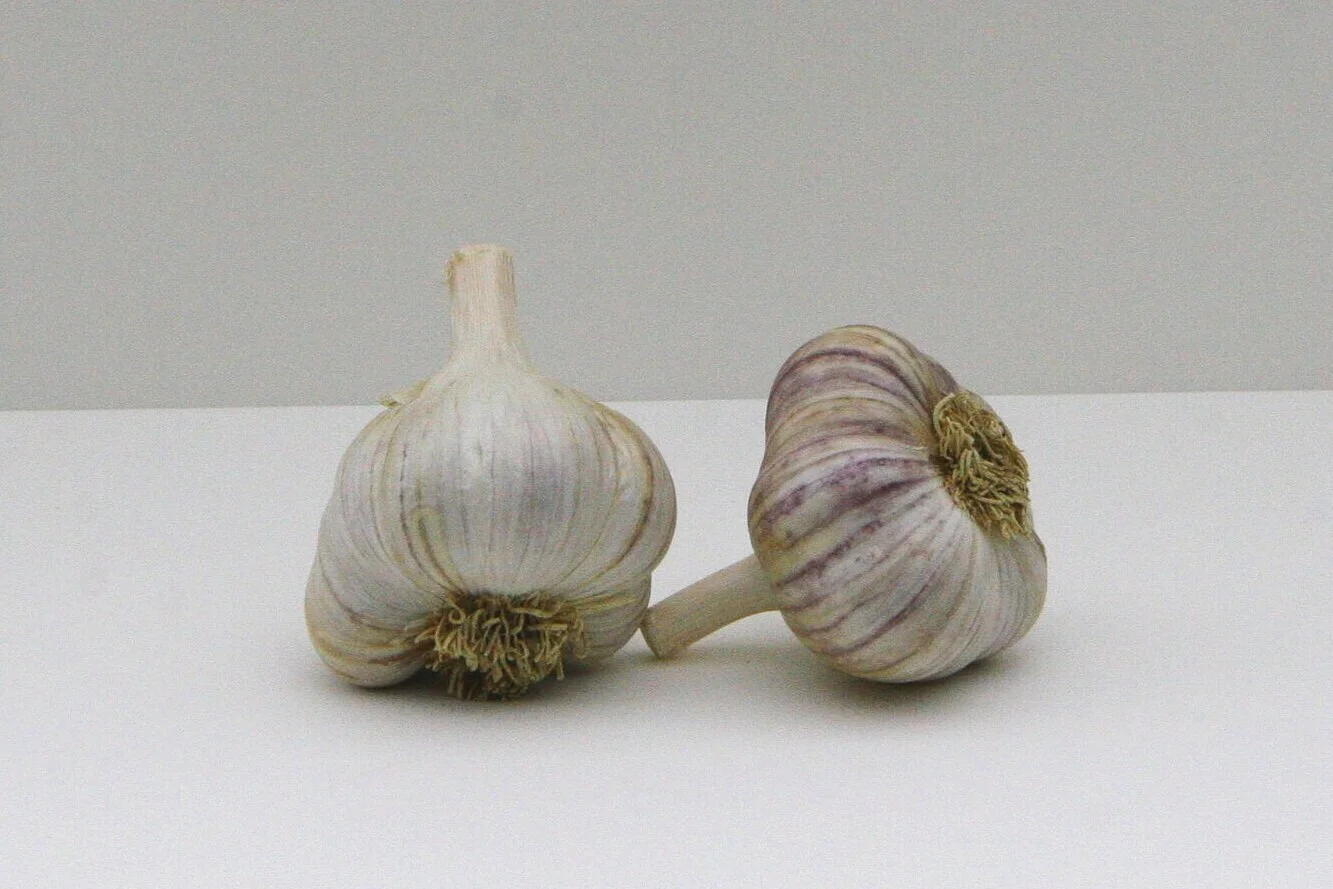 Culinary Garlic — Bessette Creek Farm
