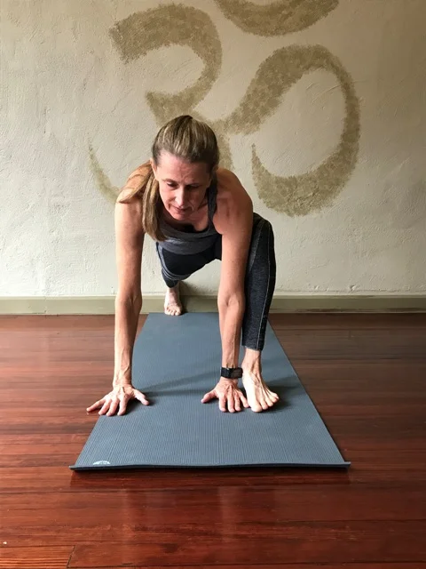 Lizard Lunge as a preparation for Astavakrasana — Karin Eisen Yoga ...