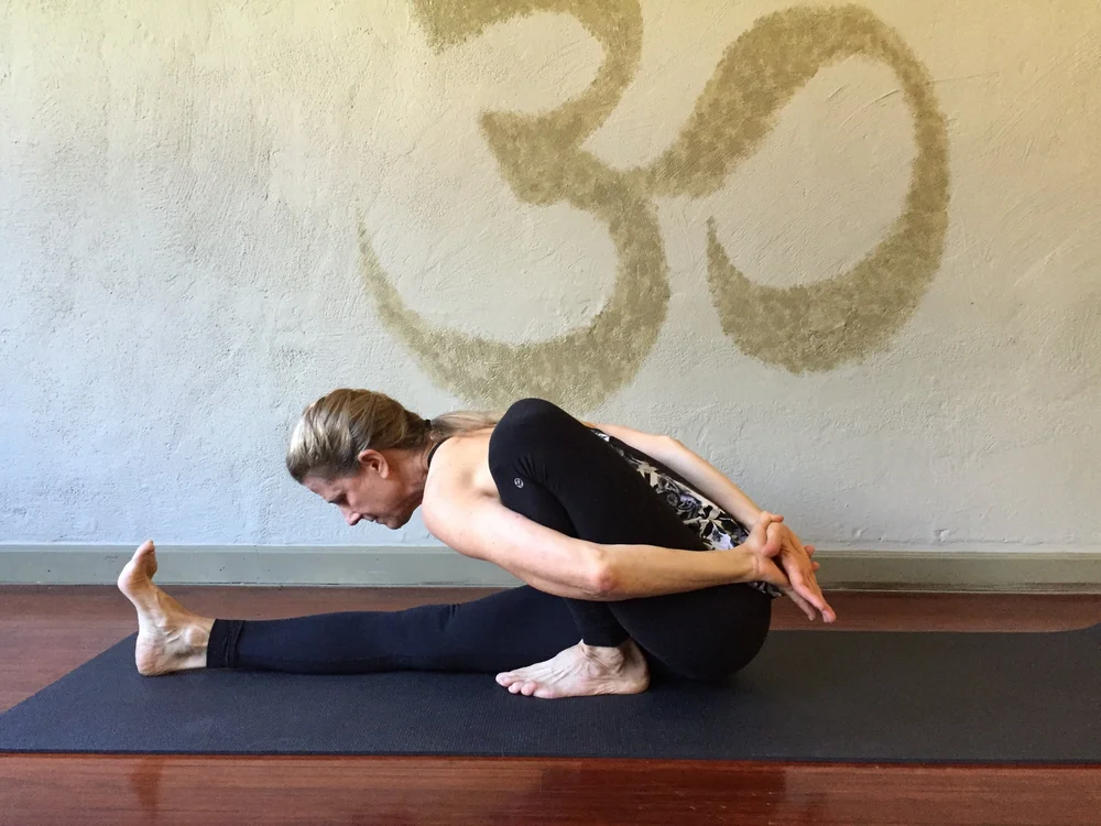 The Four Basic Seated Forward Bends — Karin Eisen Yoga – New Hope, PA