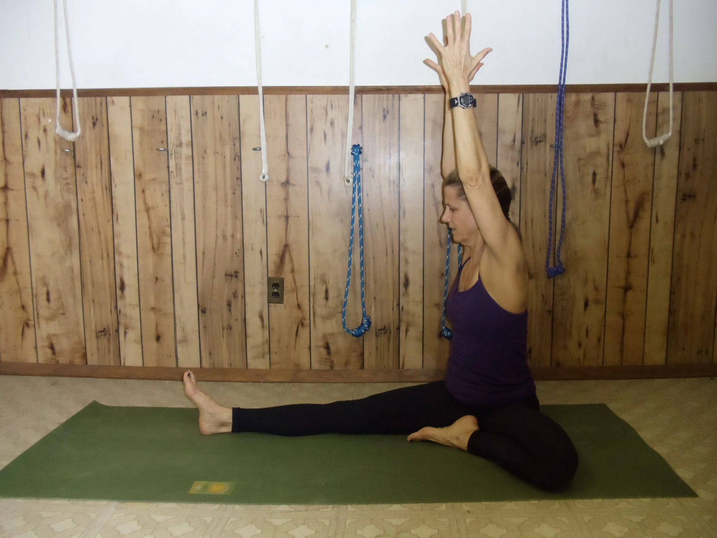 Arogya Yoga – Chapter 19: Janu Sirsasana, The King of Forward Bends ...