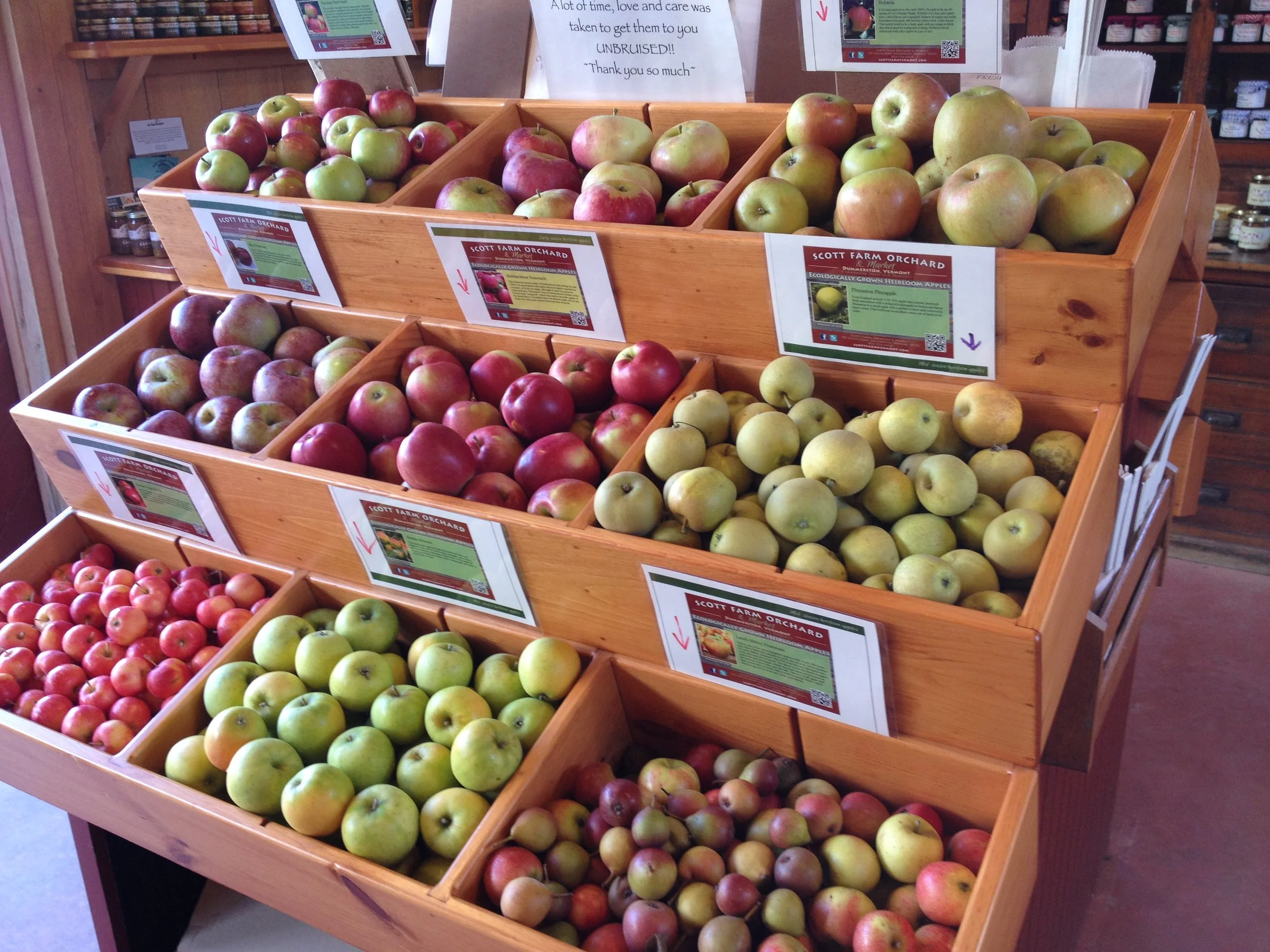Scott Farm’s Heirloom Apple Day Deliciously Successful — The Landmark ...