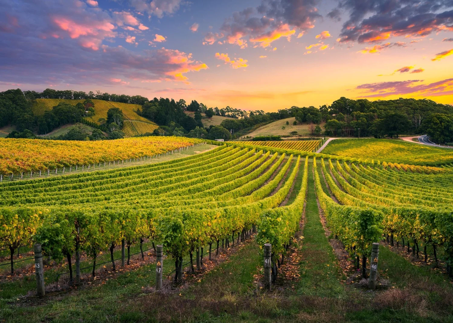 Napa County Farm Bureau - The Authority on Napa Valley Agriculture ...