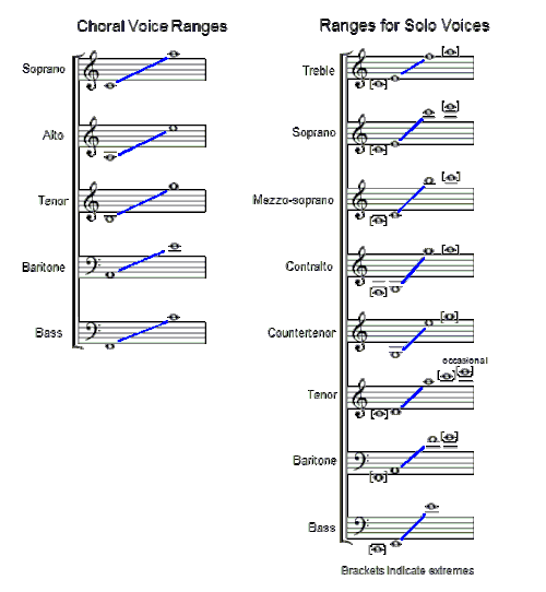 Voice Types — Adi Denner