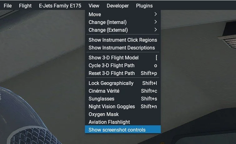 10 Pro Tips for Taking Amazing Flight Sim Screenshots | X-Crafts