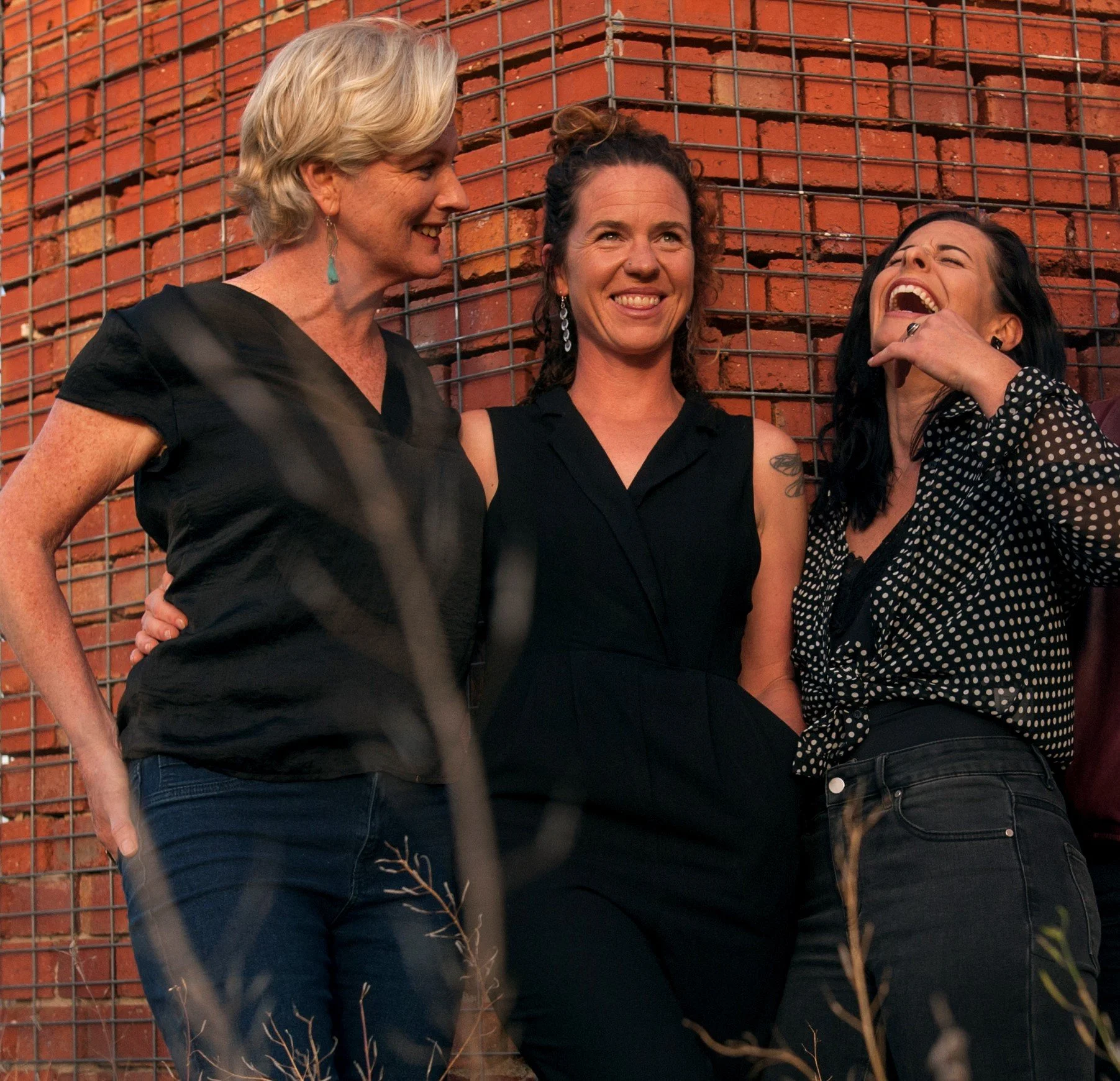 BLINK DANCE THEATRE — Platform Arts