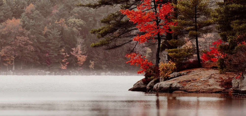 Fall colours photography at Hardy Lake Trails, Muskoka Ontario — Simon Burn