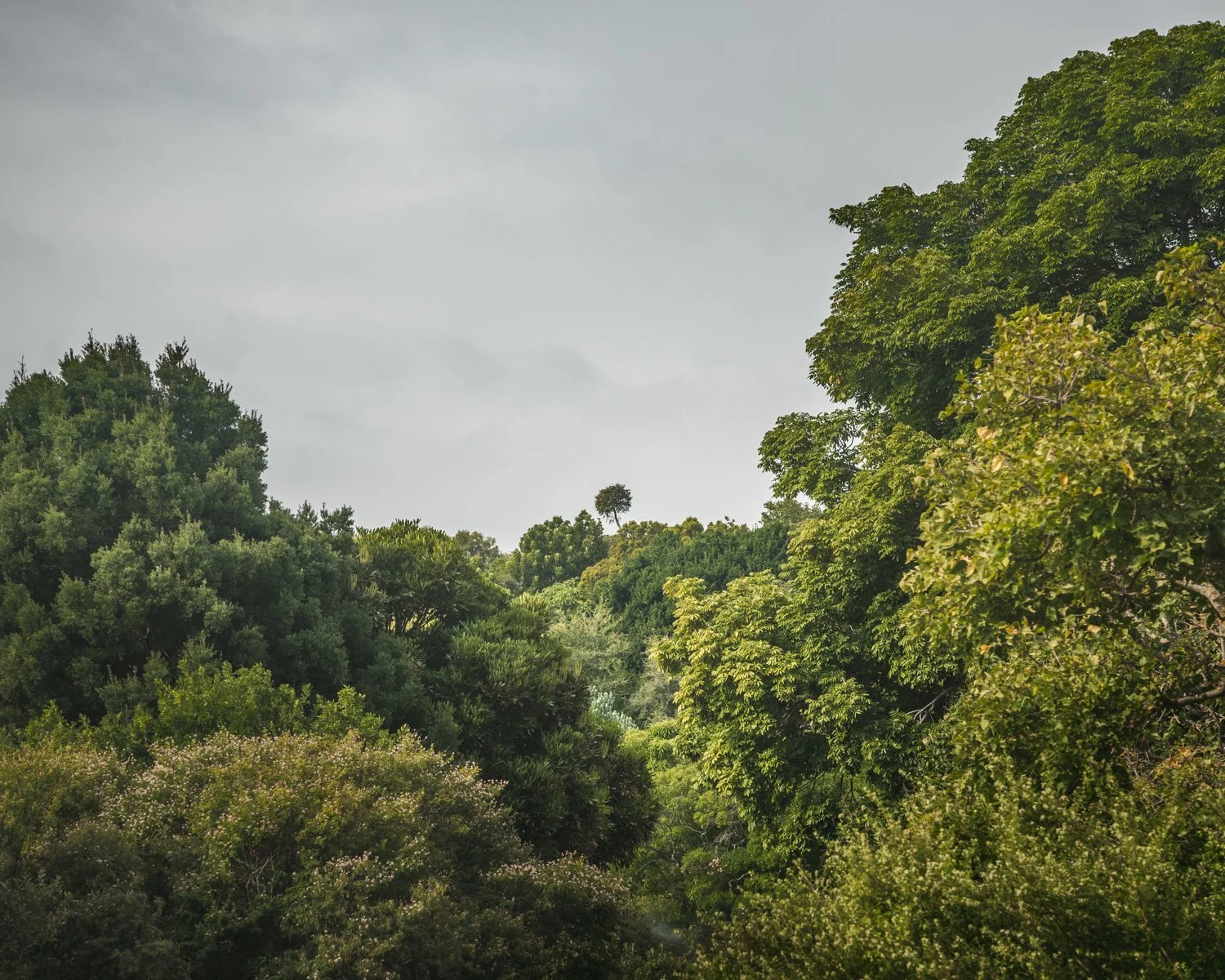 landscape — Travel and landscape photography by Zoltán Pálmai