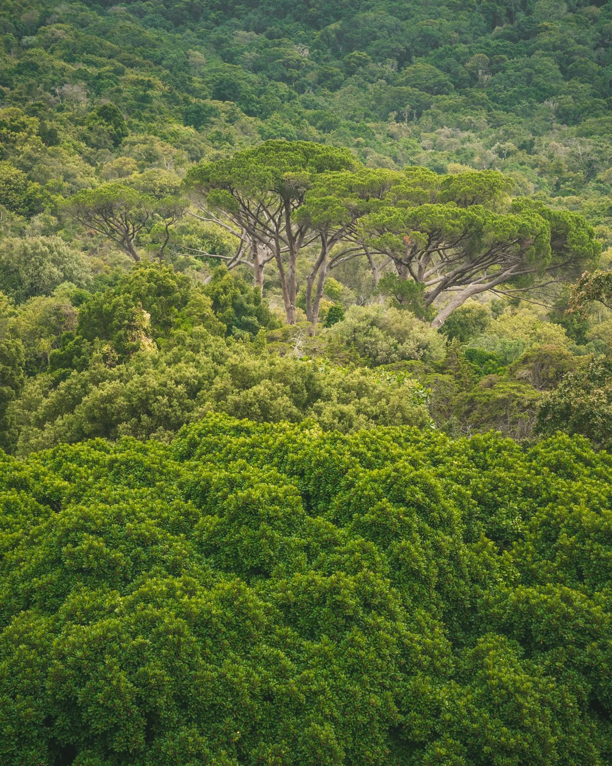landscape — Travel and landscape photography by Zoltán Pálmai