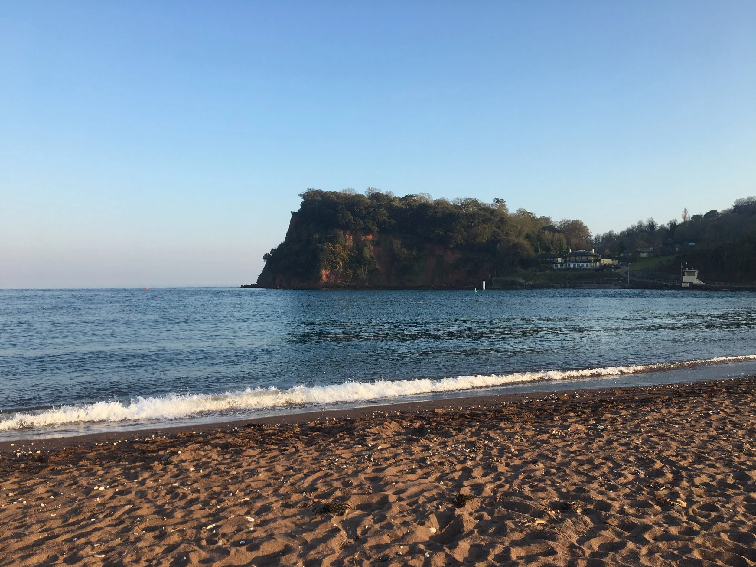 The Wave - Devon Shellfish - Local Teignmouth Art