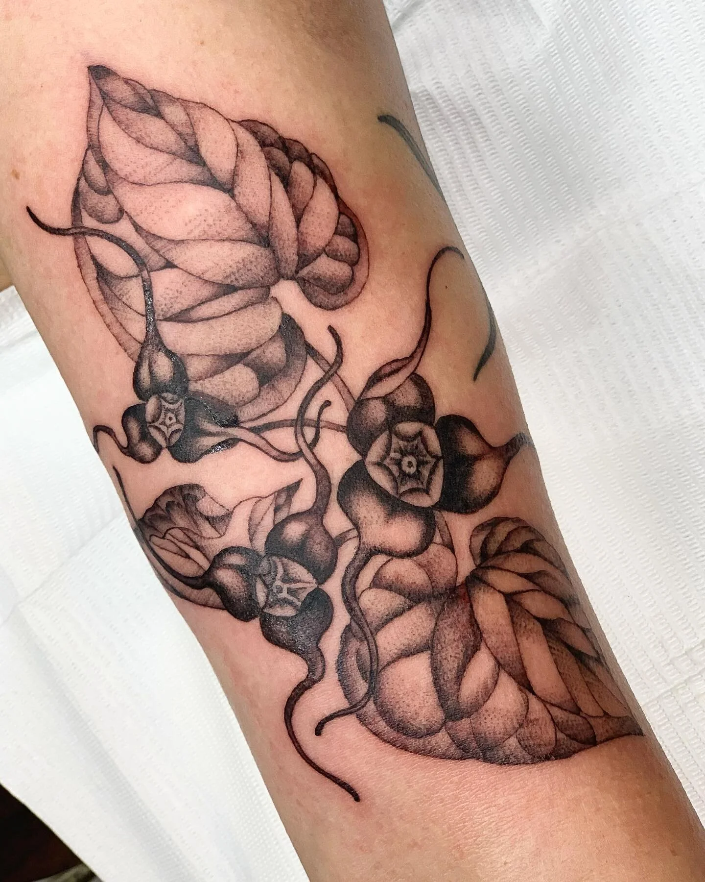 Rebecca Tattoo Designs