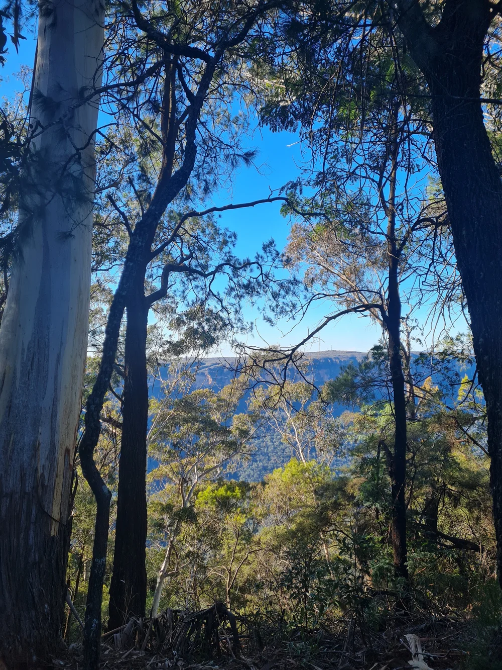 Australia camp — Footprints
