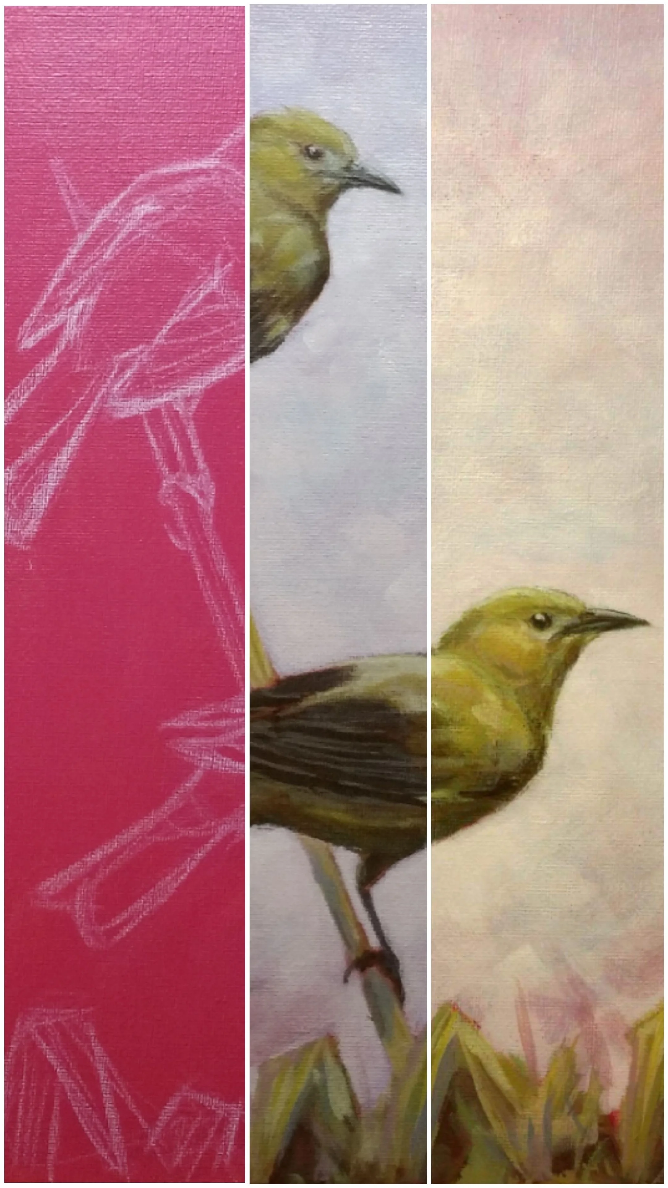 Introducing Ian Beck — Fox Yard Studio