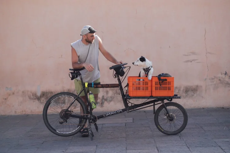 Omnium || Bikes & Frames — Velo Domestique