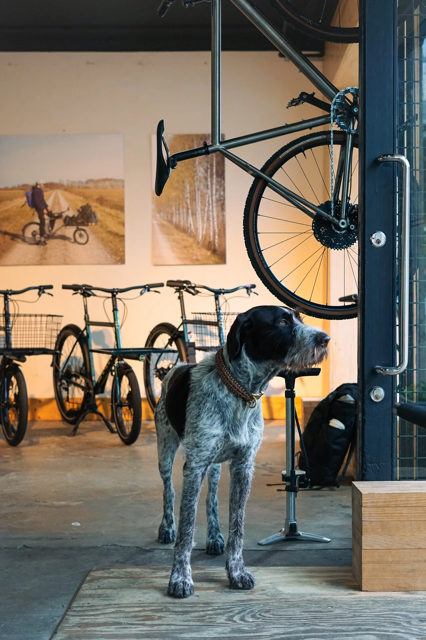 Is an Omnium the cargo bike for everyone? Interview with Omnium’s head ...